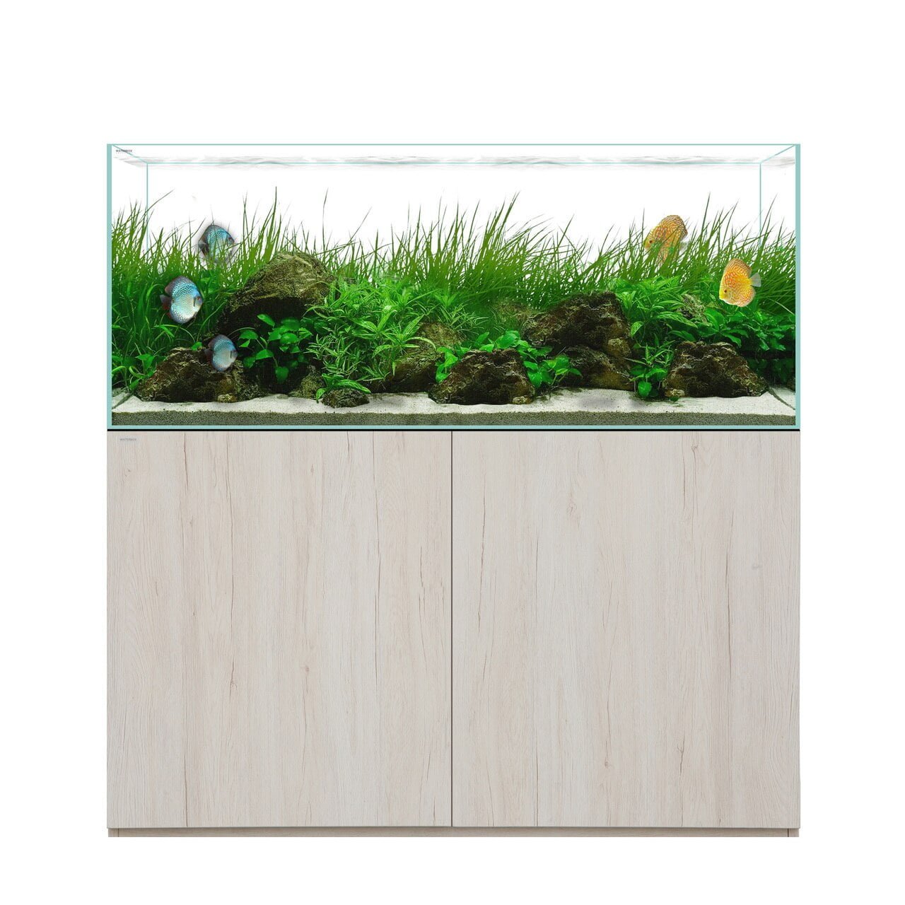 Aquascaping Pro | Aquarium Supplies, Kits, Filters & How-To Guides
