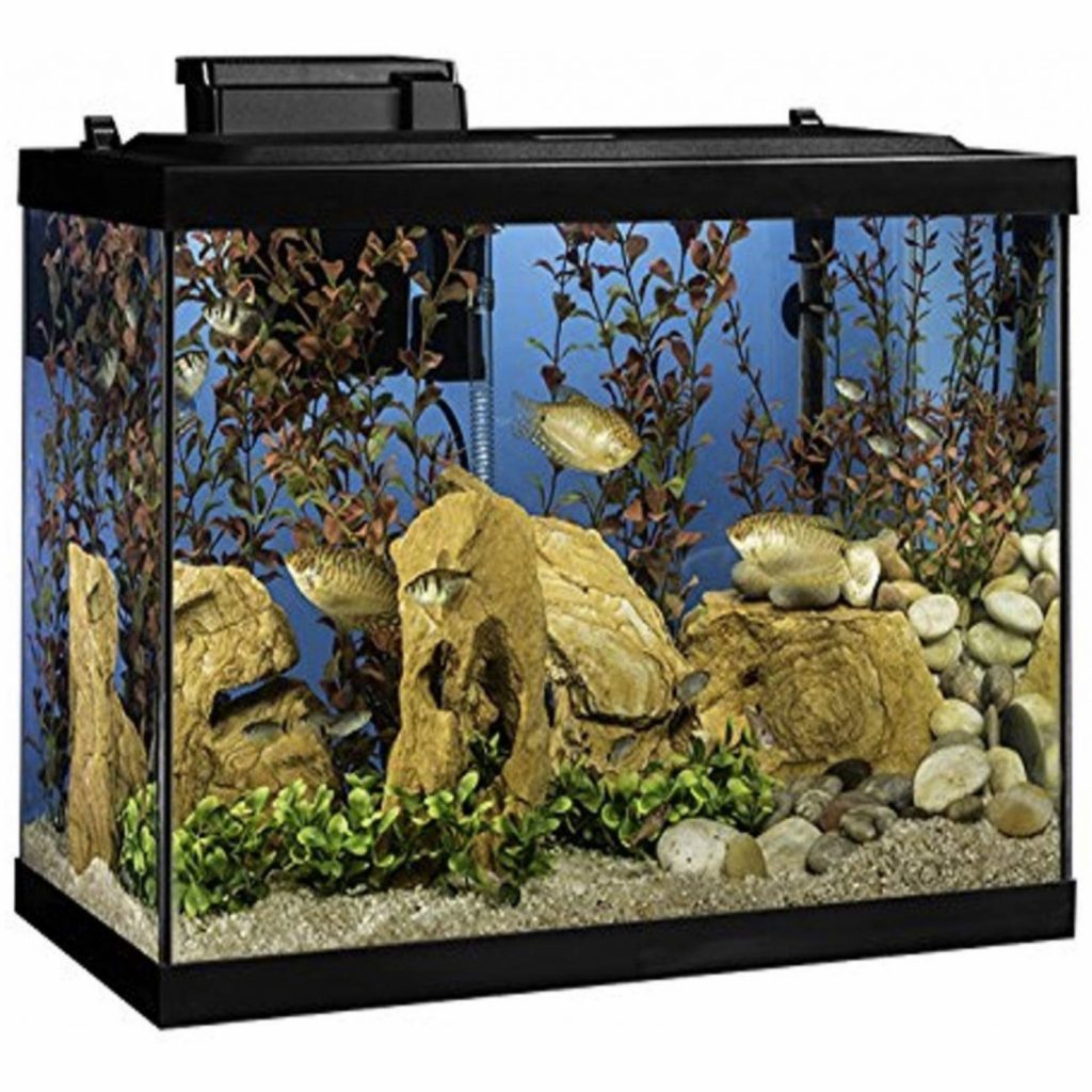 Koller Products 6 Gallon Tropical 360 View Aquarium Starter Kit