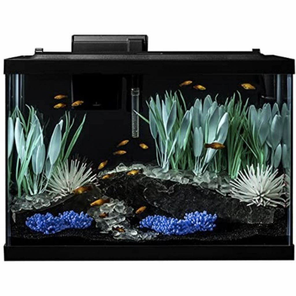 Tetra 20 Gallon ColorFusion Aquarium Kit w/ Filter Heater LED & Plants