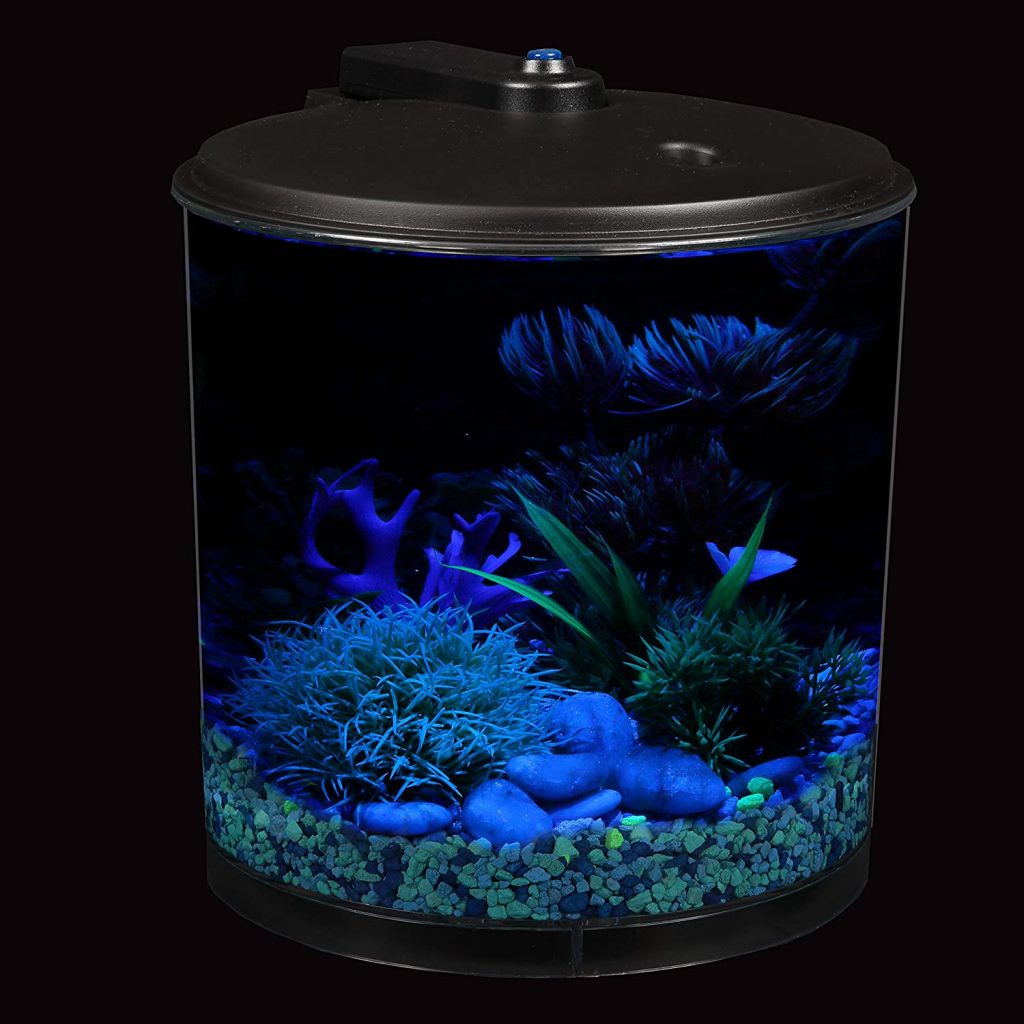Koller Products 2 Gallon Tropical 360 View Aquarium Starter Kit