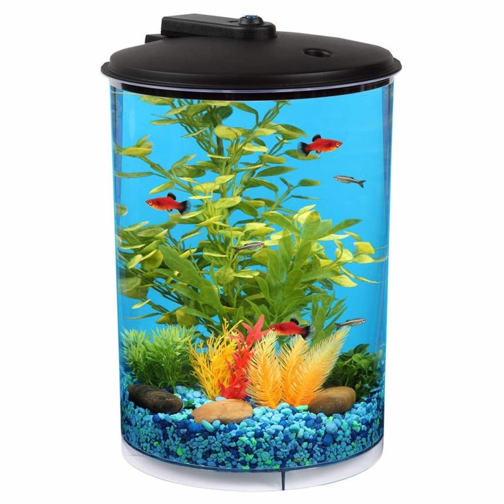 Koller Products 3 Gallon Tropical 360 View Aquarium Starter Kit