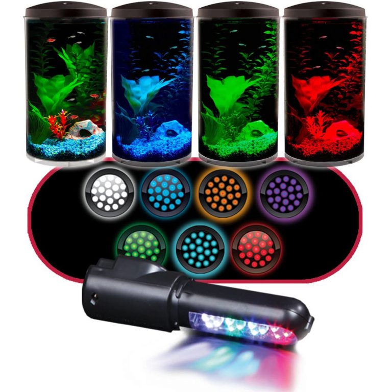 Koller Products 6 Gallon Tropical 360 View Aquarium Starter Kit