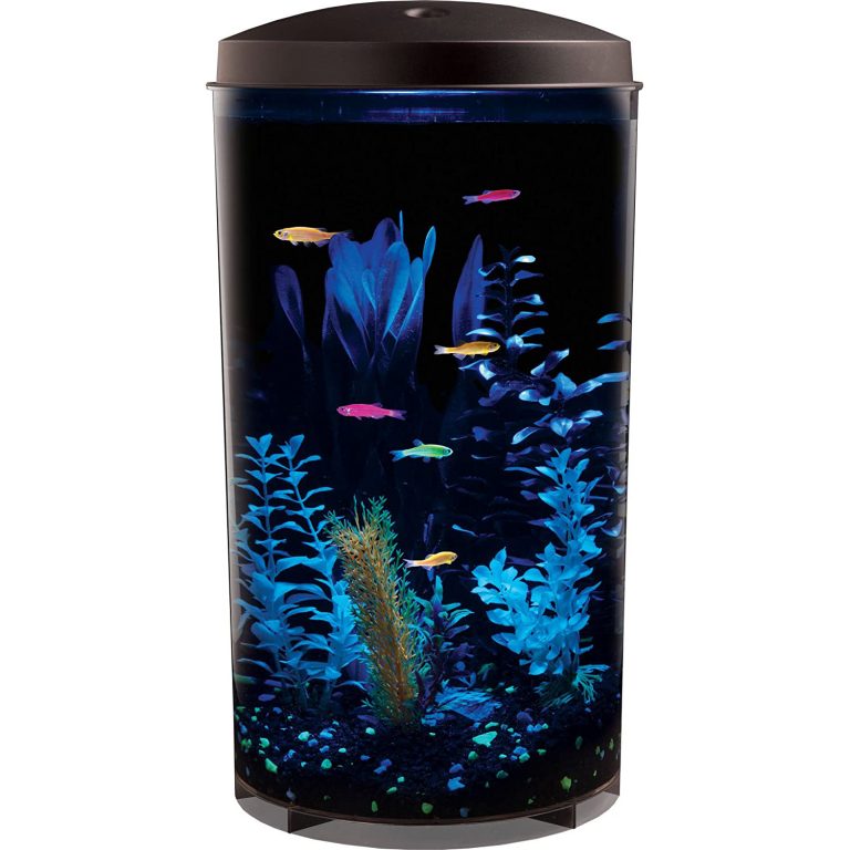 Koller Products 6 Gallon Tropical 360 View Aquarium Starter Kit