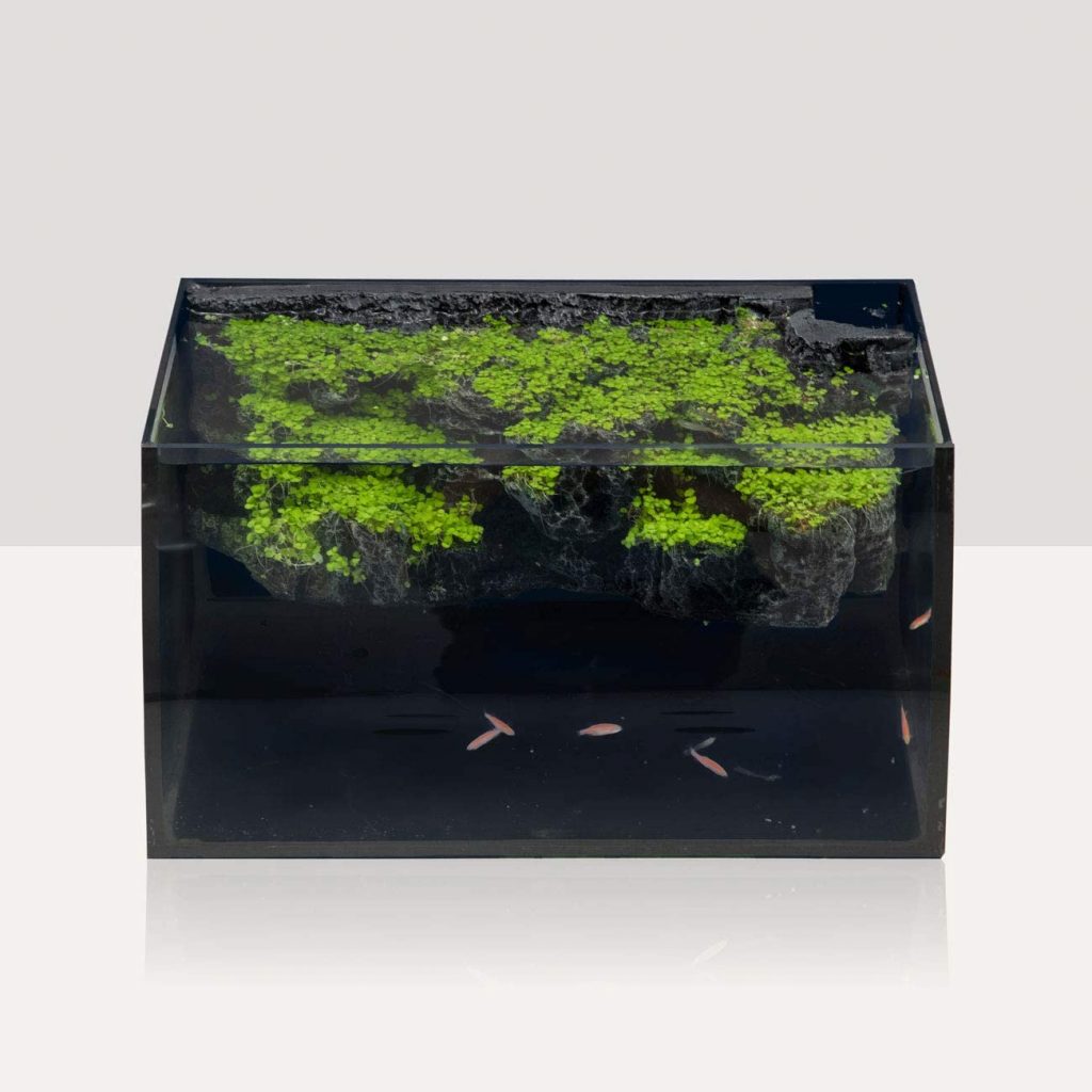 hygger Horizon 8 Gallon Wide View Curved Aquarium Kit